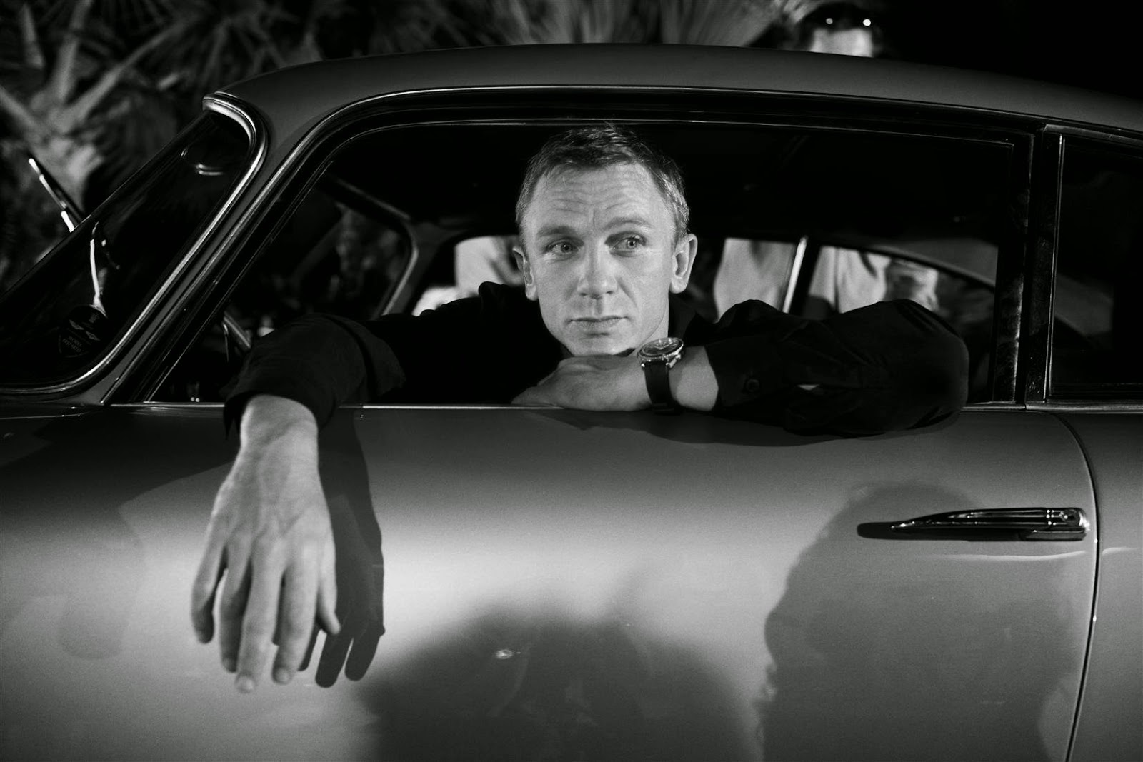 Volcano Cat, the Pop-Culture hangout