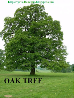 Java4Teachus: A Great History Of JAVA