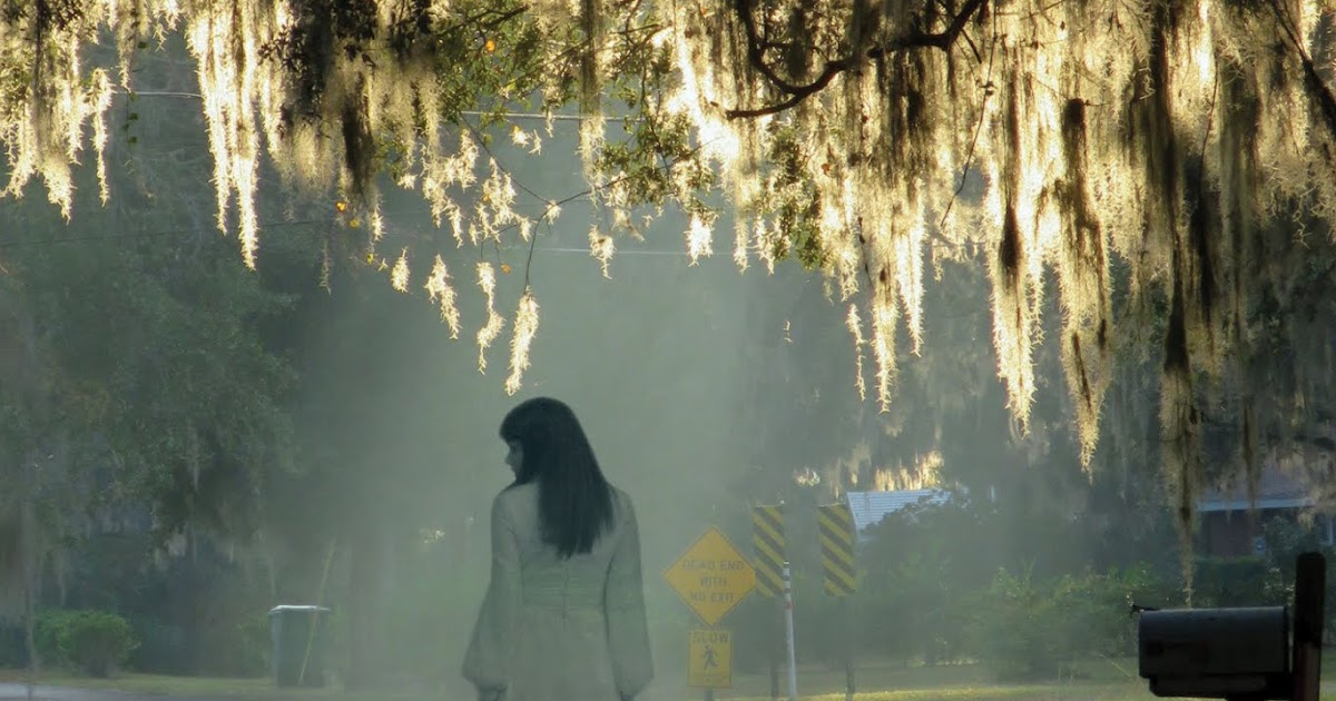 “Confound It” Dreamwalker series By Maggie Toussaint: Review/Giveaway