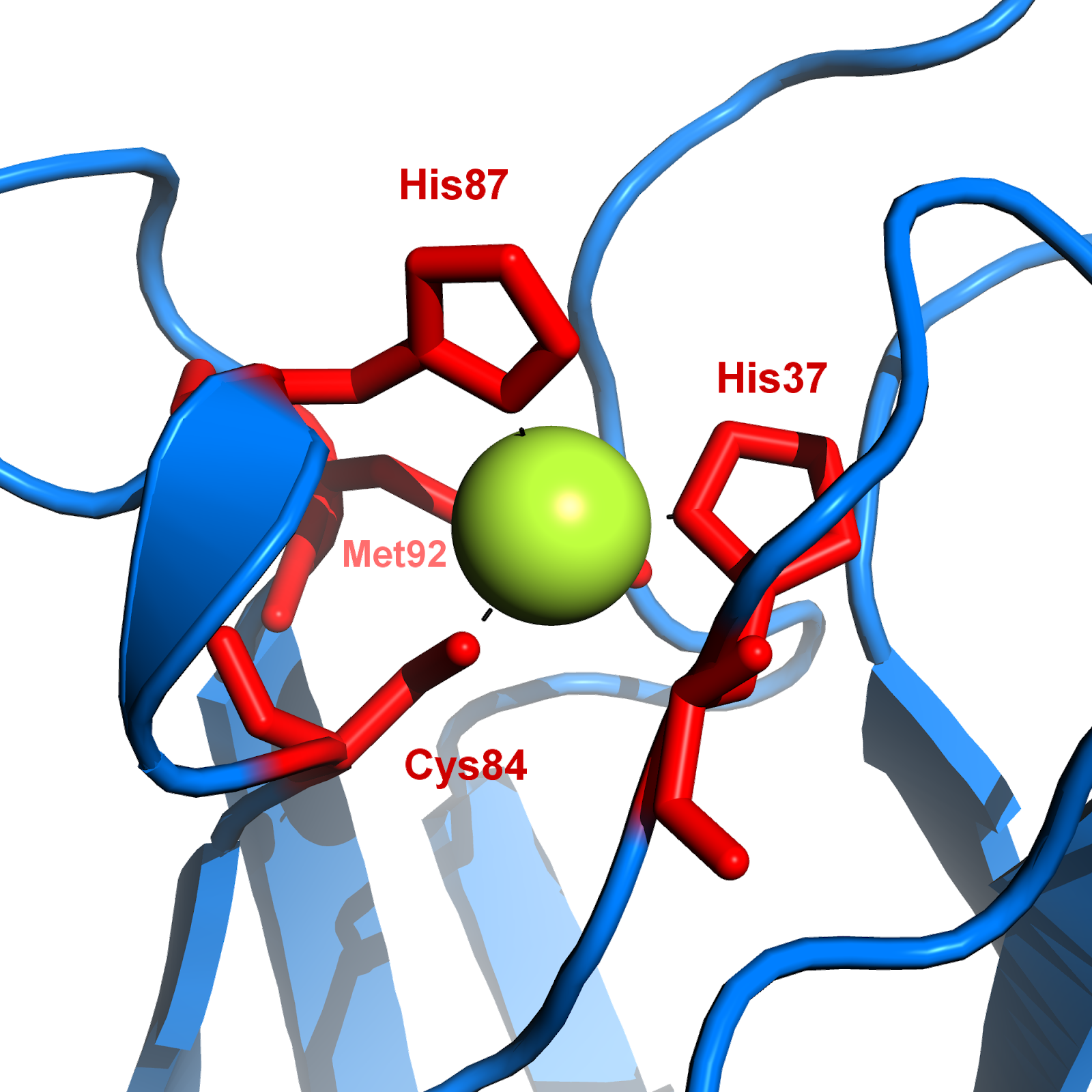 Copper Proteins & Succulents
