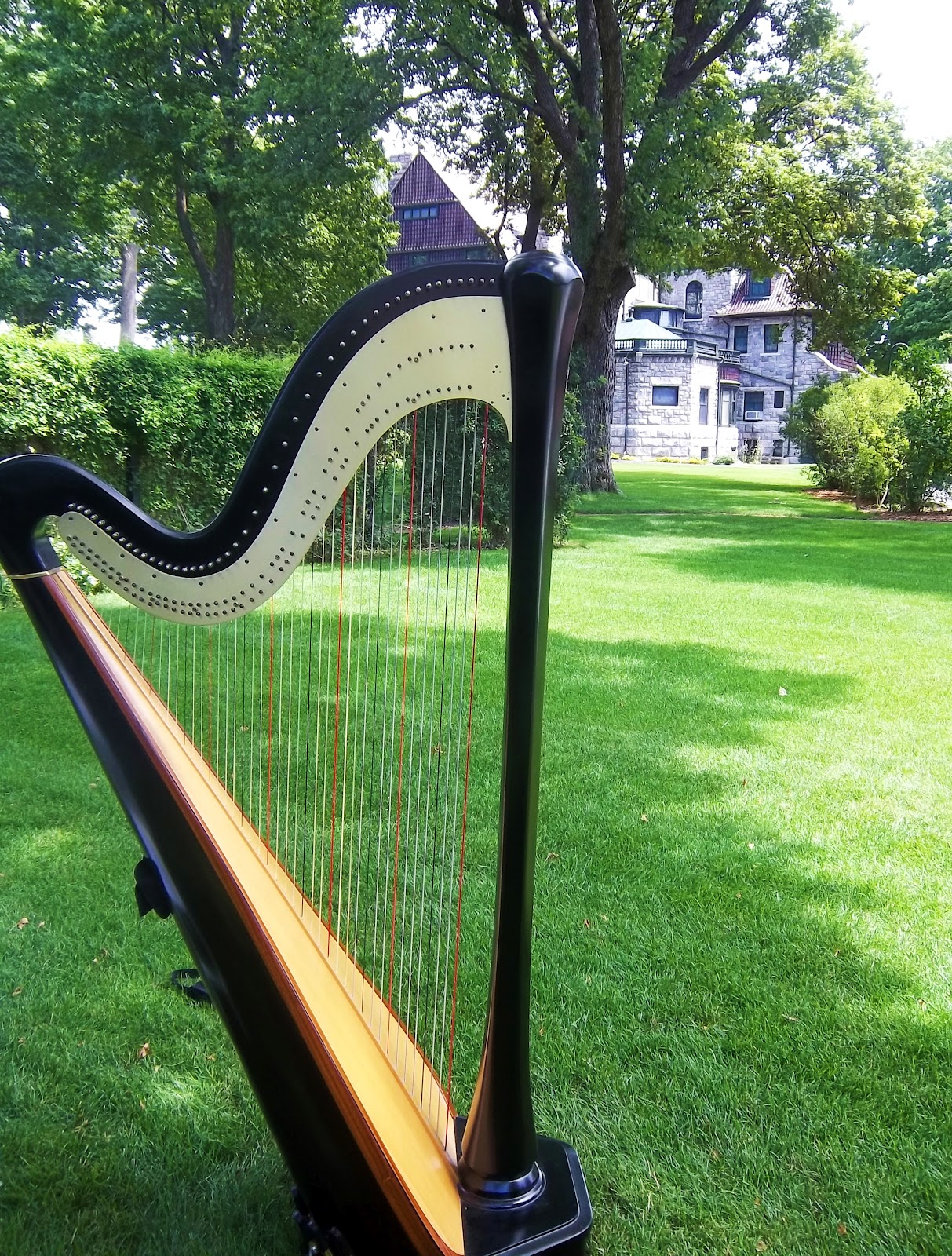 The Classic Harpist: Harpist in South Bend ~ Wedding Ceremony in the ...