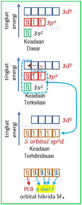 Struktur Lewis, Hibridisasi, Bentuk Molekul, dan Kepolaran Senyawaan S ...