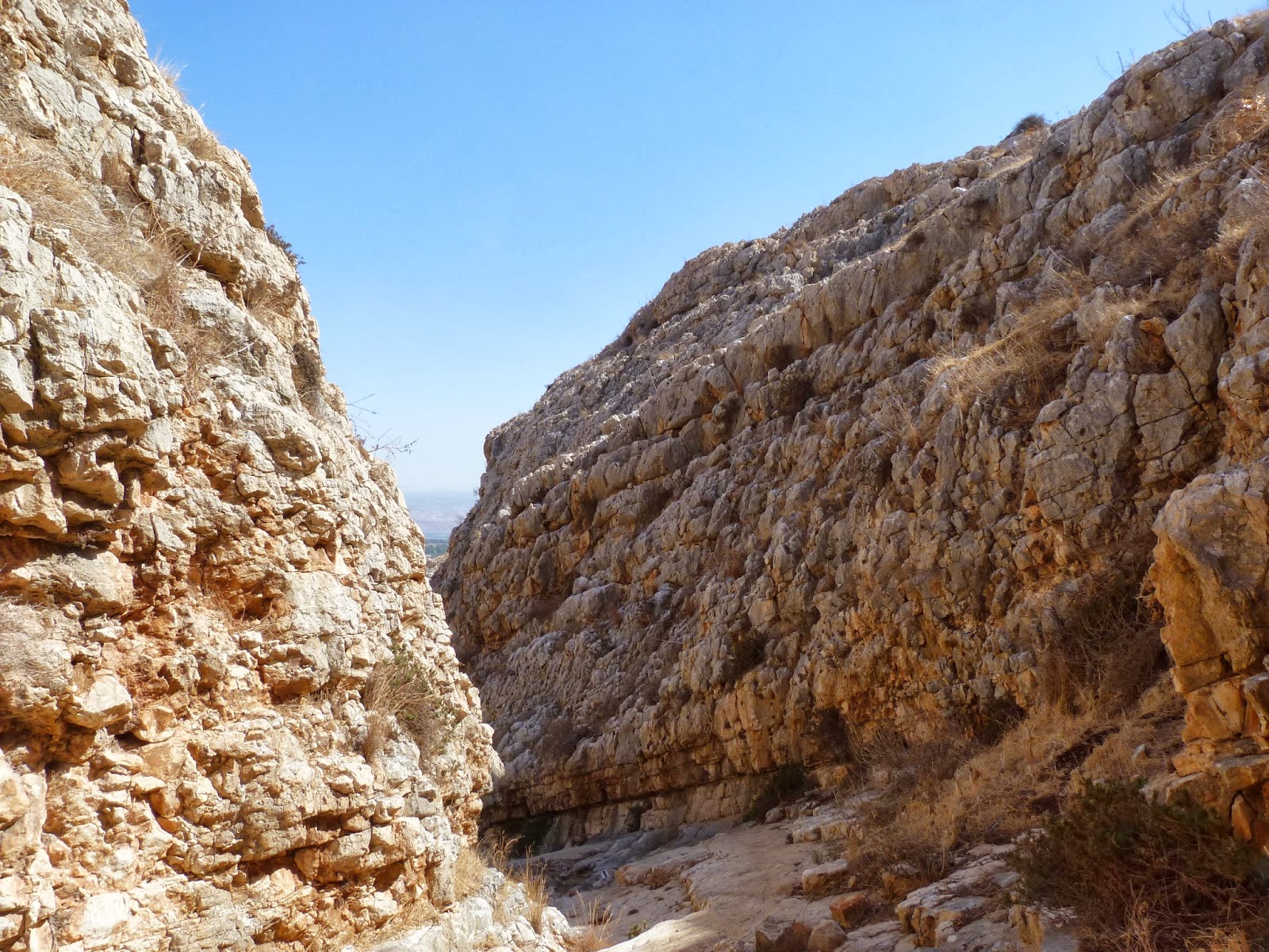 Caracoleando por el mundo: octubre 2013