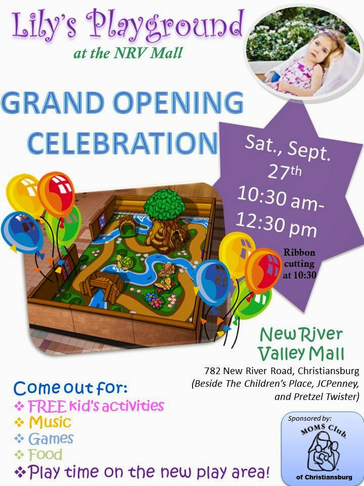Lily's Playground: Grand Opening!