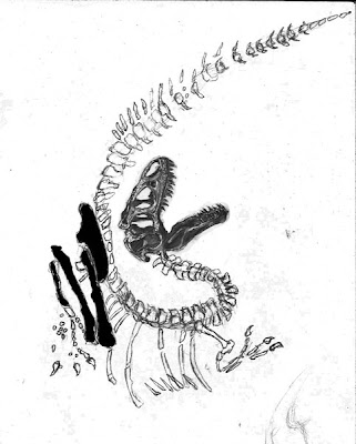 The Flying Trilobite: Allosaurus Science Ink