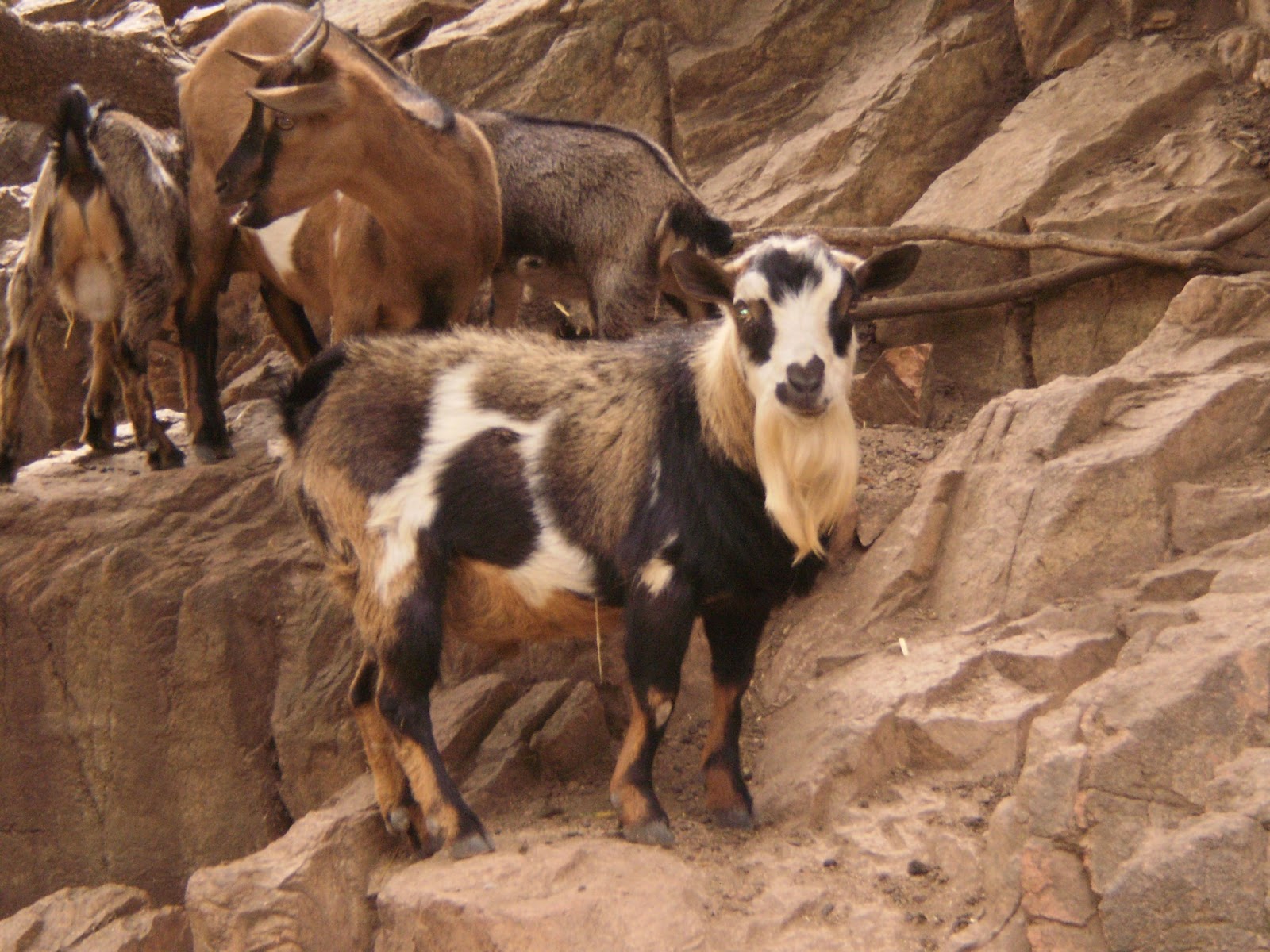 La classe dei balocchi: maggio 2013