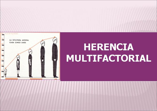 HERENCIA GENETICA: HERENCIA MULTIFACTORIAL