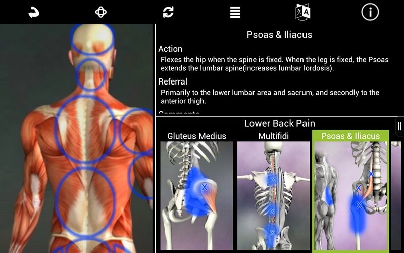 Amazon Free App: Muscle Trigger Point Anatomy ~ Apps do Android