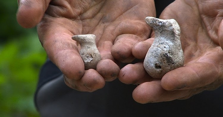 The Subversive Archaeologist: "Alas!! Poor Aurochs. I Knew Him Well."