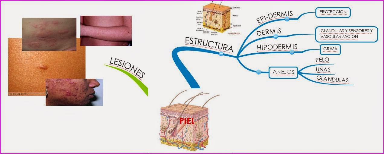 ESQUEMAS TEMARIO DE AUXILIARES DE ENFERMERÍA PARA OPOSICIONES: ESQUEMA ...