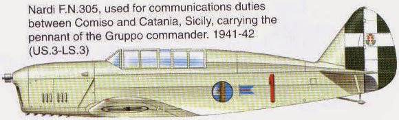 Italian Aircraft of WWII: Nardi F.N.305A