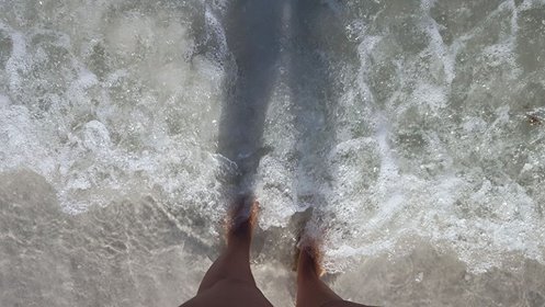 Everything's Coming Up Daisy: Confessions of an Overwhelmed Floridian