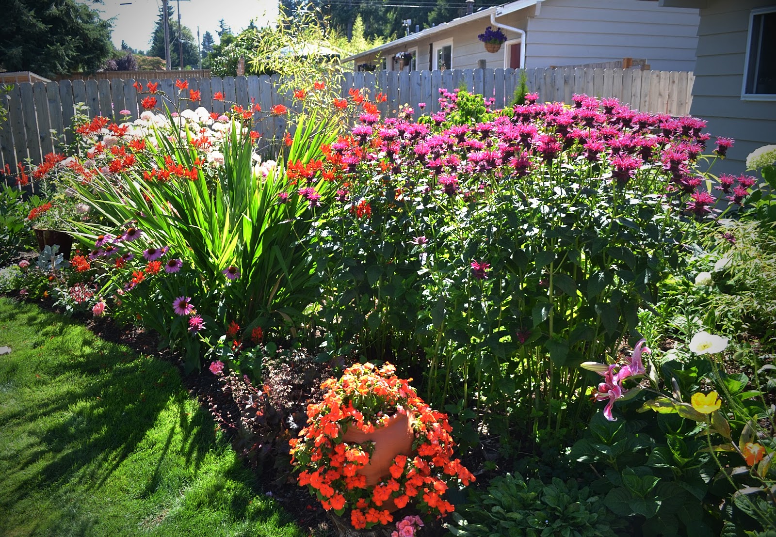 The Outlaw Gardener: Federal Way Symphony Garden Tour Part One: Last ...