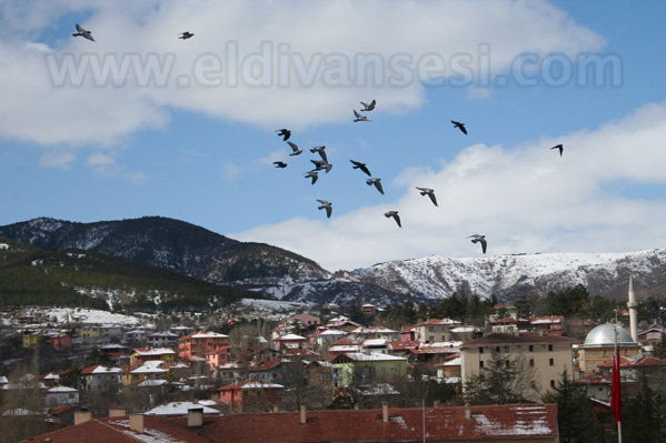 18 ÇANKIRI: ELDİVAN