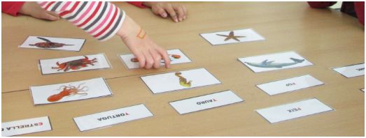 CALAIXET DE RECURSOS: ANIMALES QUE VIVEN EN EL MAR