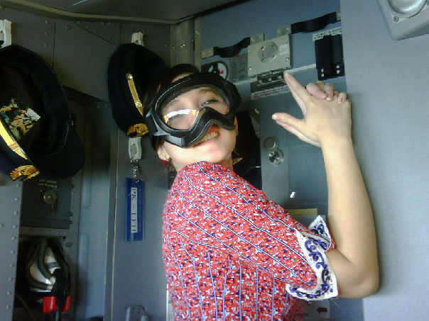 Dinosan World: Funny Cabin Crew :)