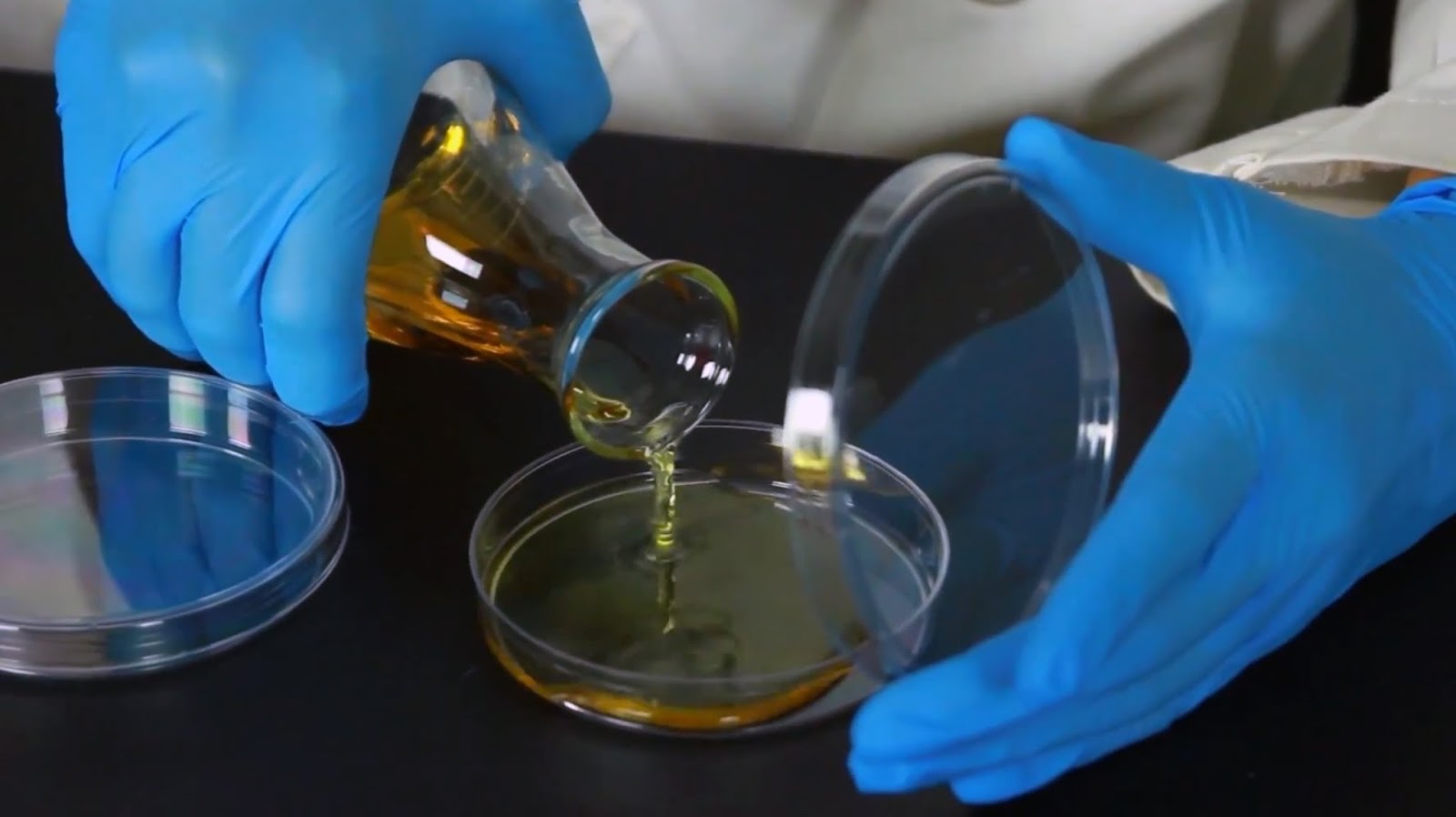 Teknik Dasar Laboratorium Mikrobiologi LENGKAP - Biologizone