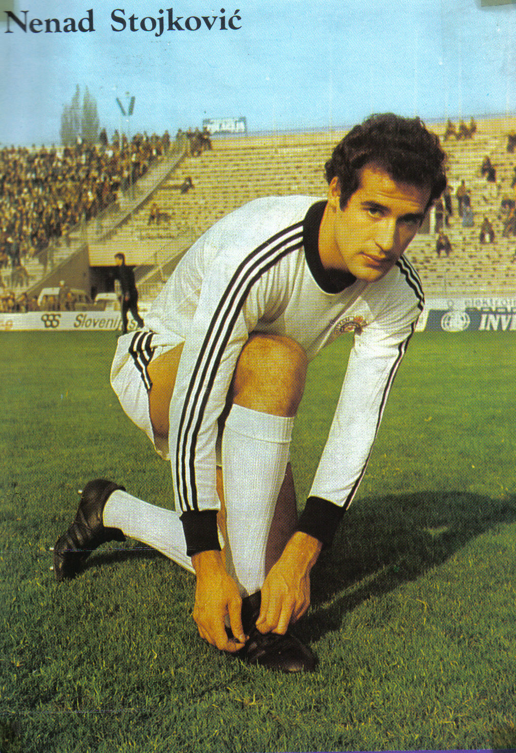 Nenad Stojković - Alchetron, The Free Social Encyclopedia