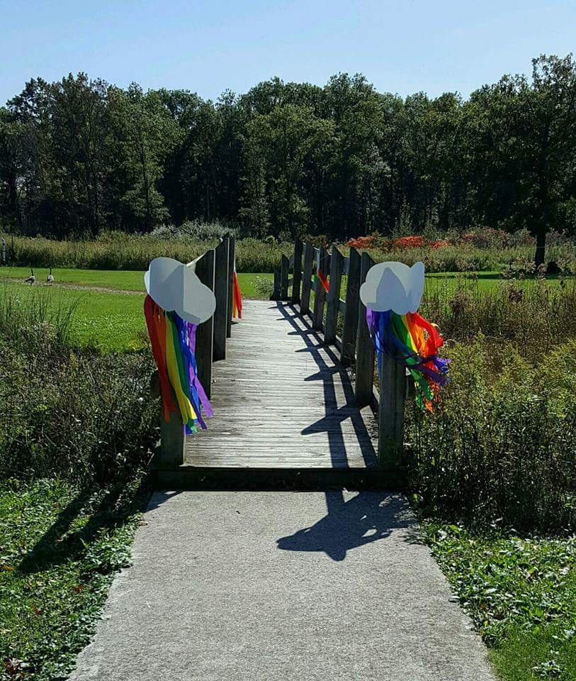 5 Ways to Bridge on a Budget—Shared By Girl Scout Members - Girl Scout Blog