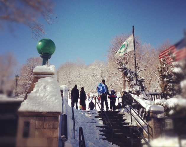 H A R L E M + B E S P O K E: ☞ INTRODUCING: Sledding in St. Nicholas Park