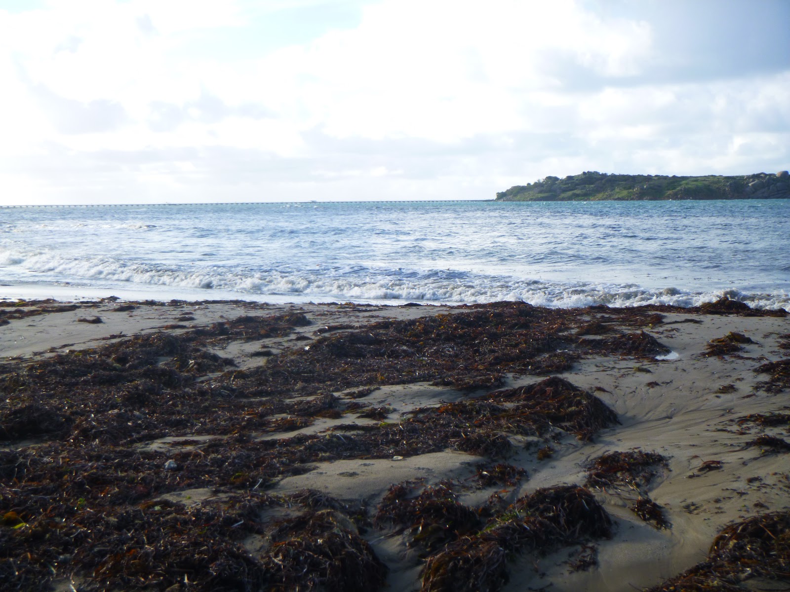 Back Valley seasons: Morning walk, the Inman River has a new exit.