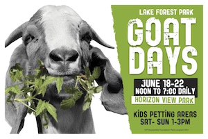 Shoreline Area News: Goat Days in Lake Forest Park, June 18-22