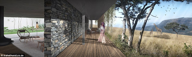 INVASORES: Preparan casas de lujo en pleno hábitat natural de cientos ...