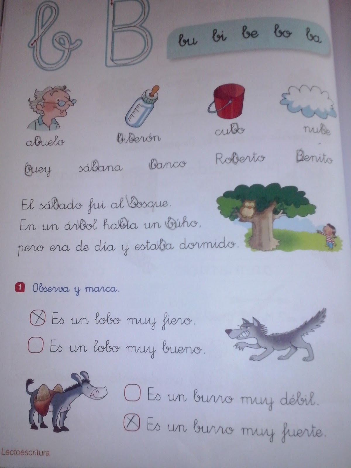 CLASE CARMEN CEIP MEJICO: LETRA B