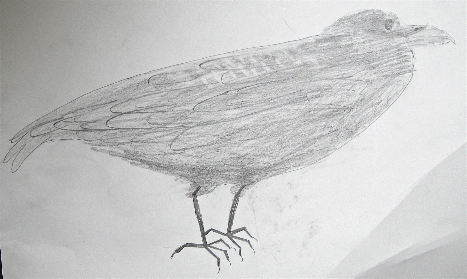 Susan's Art Club: "Rooks"