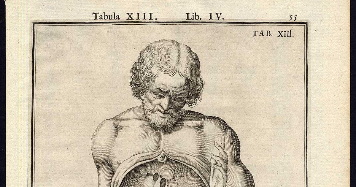 benjaminpelemele: Ancient anatomy