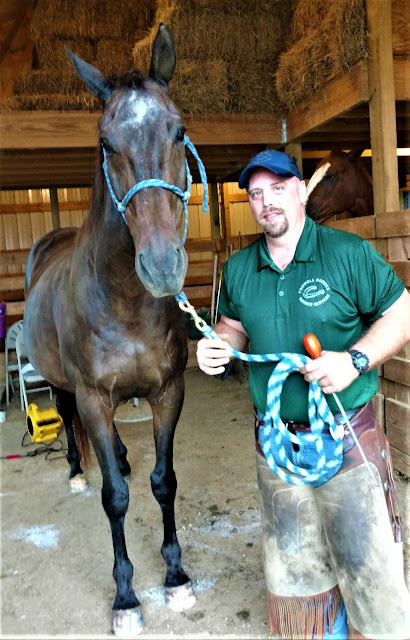 Riding & Writing...: Farrier First: An Interview with Farrier Kris Fogwell