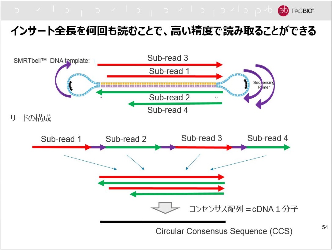 パックマンの挑戦 － PacBioシークエンサー: CCSでアセンブリも、あり！