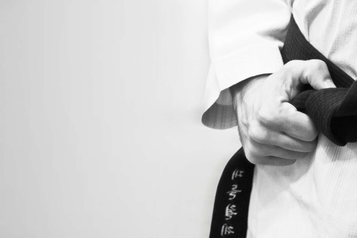 Art of Fighting: Learn How to Do a Martial Arts Form the Right Way