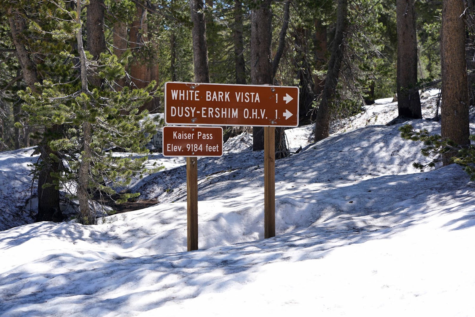 Mid Sierra Musings: Kaiser Pass Road And White Bark Vista 2016