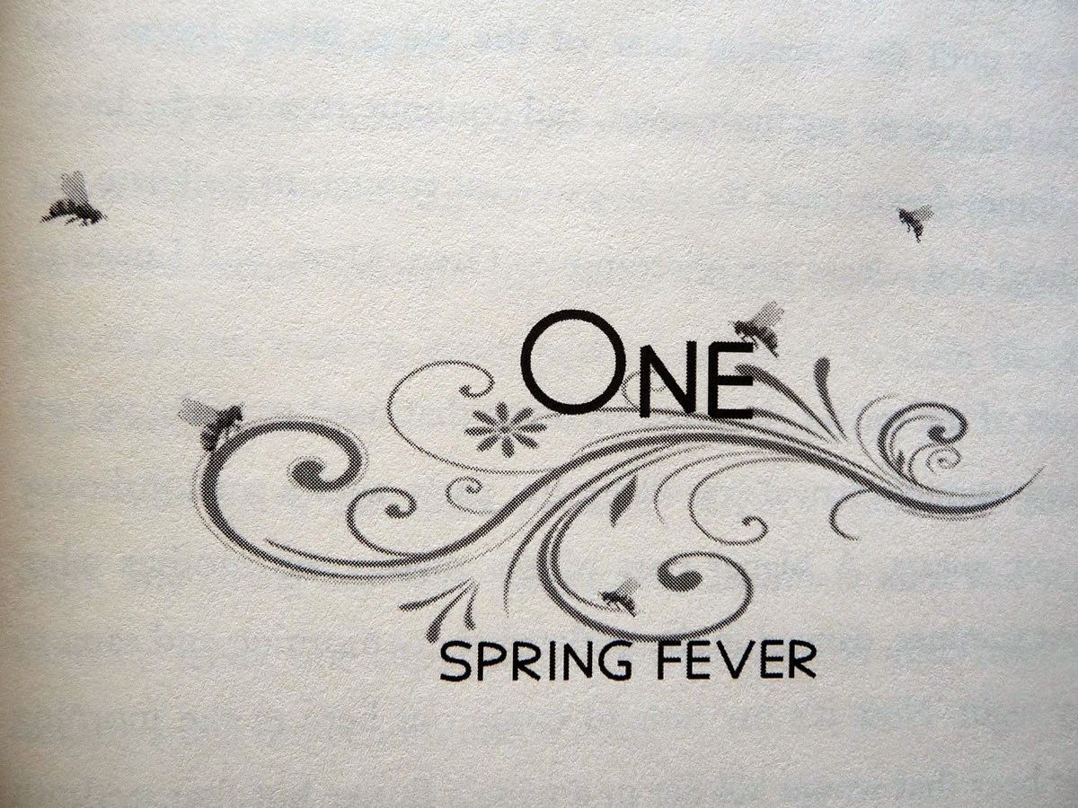 Operation Awesome: Interior Design for Book Nerds