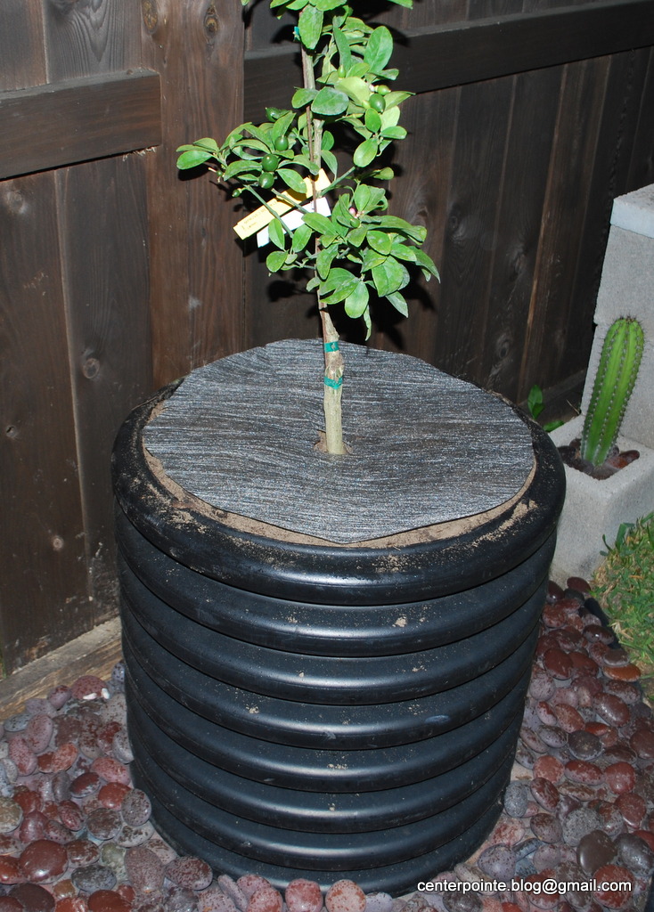 Centerpointe Communicator: Culvert planters, Part 1