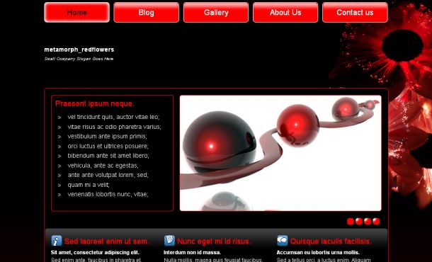 Black Red Flowers Jquery CSS Template
