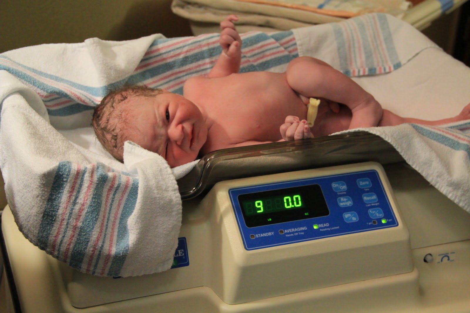 The Long Dirt Road: Jaxon James Adams