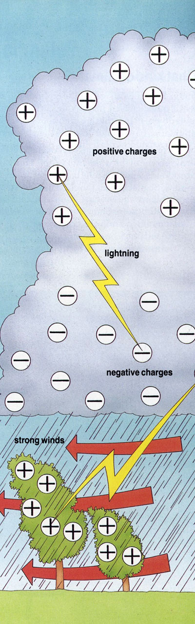 Lightning Information for Kids - What Causes Lightning?
