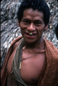 Gift of the Spider Woman: Spinning, weaving and womanhood among the ...