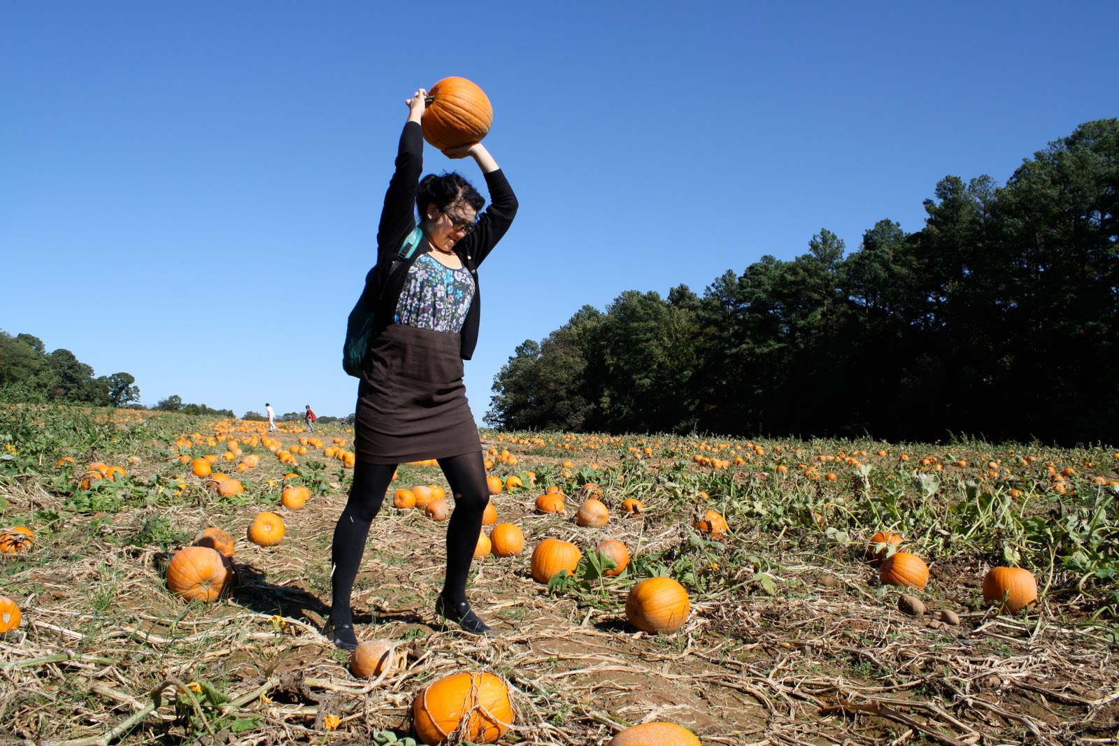 Emma Witte Illustration