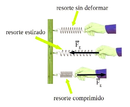 Los tipos de Fuerza y su Clasificación según su Interacción