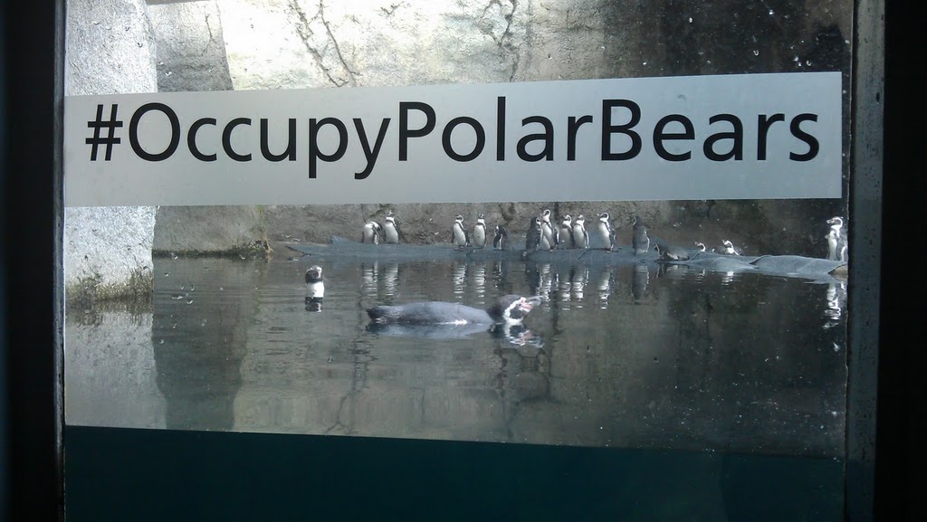 Occupy Polar Bears!