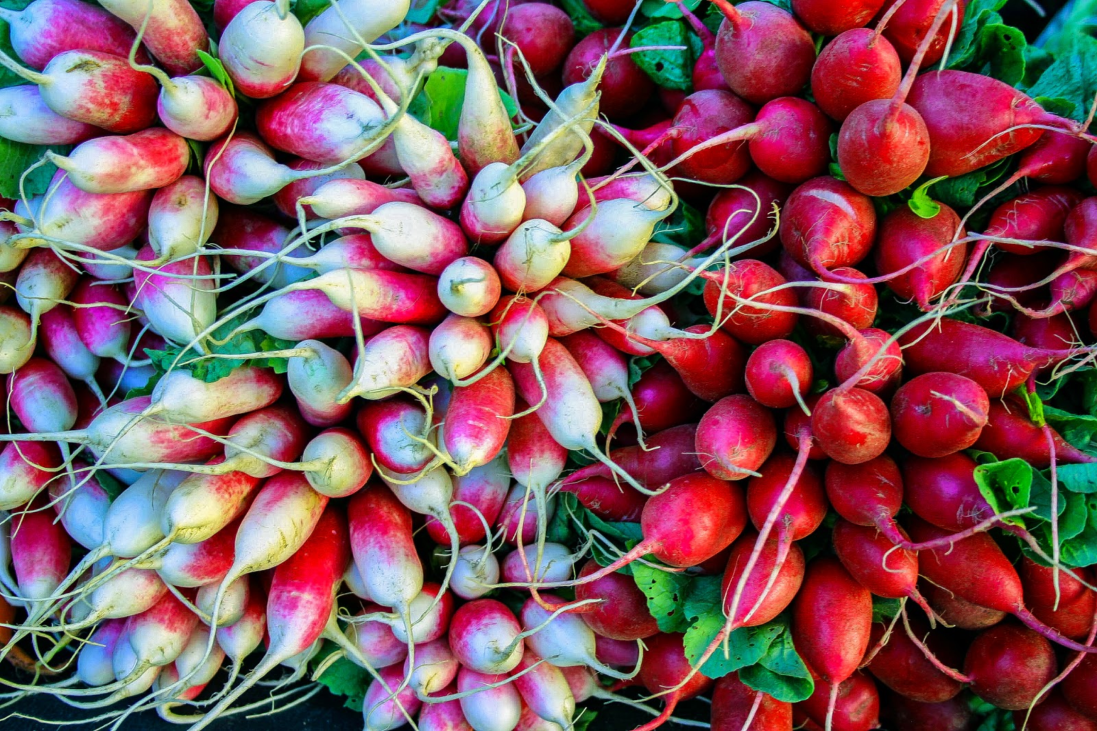Chasing Santa Fe: THE SANTA FE FARMERS MARKET