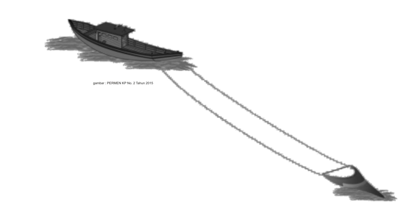 JENIS - JENIS PUKAT HELA (trawl) DAN PUKAT TARIK (seine nets) - Lalaukan