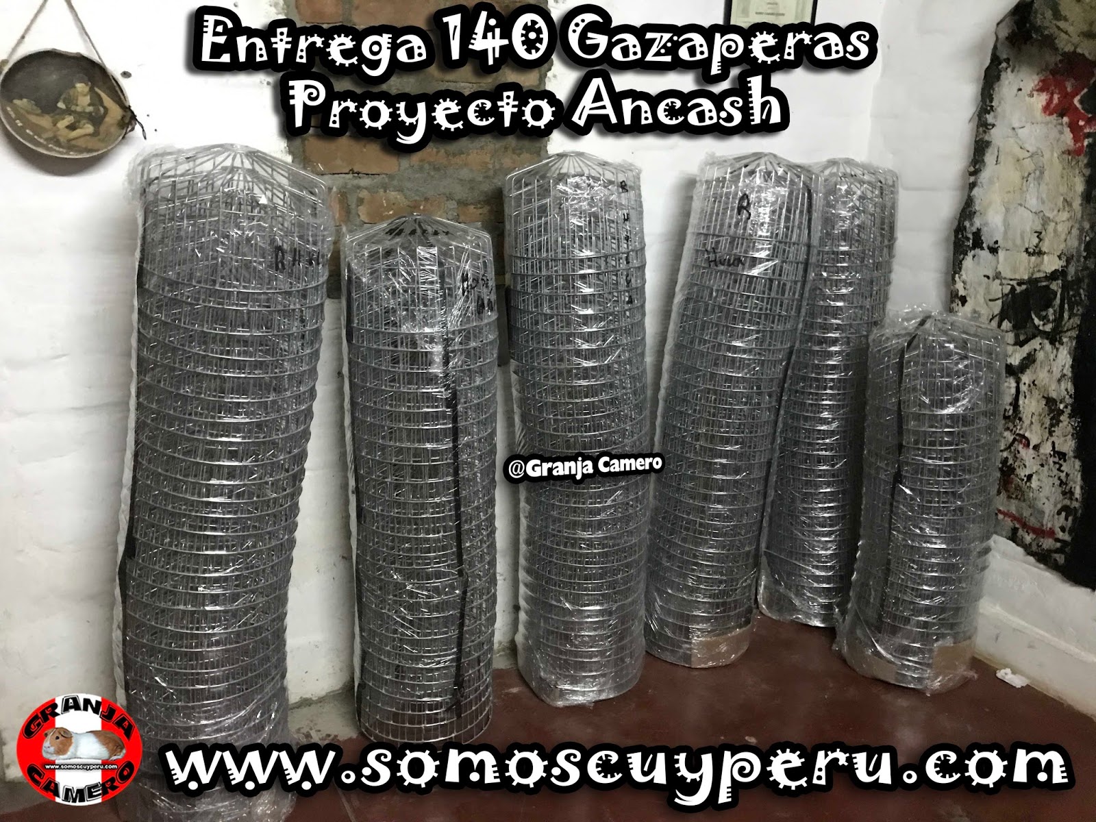 GAZAPERAS PARA CUYES ~ SOMOS CUY PERU