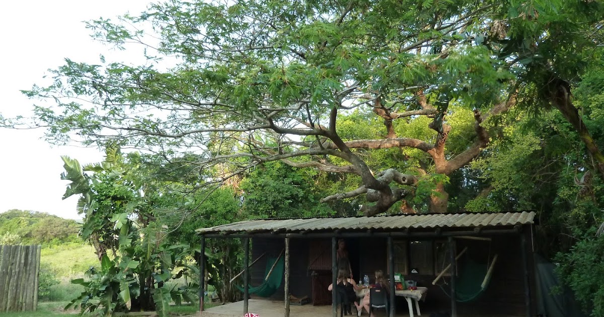 One lucky bastard...: Softly, Softly, Catchee Monkey...