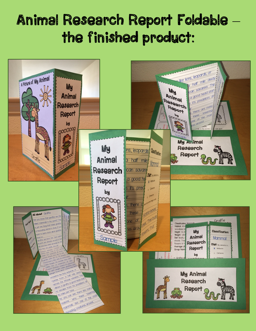 Clever Classroom Contributions!: Animal Fact Files & Research Report ...