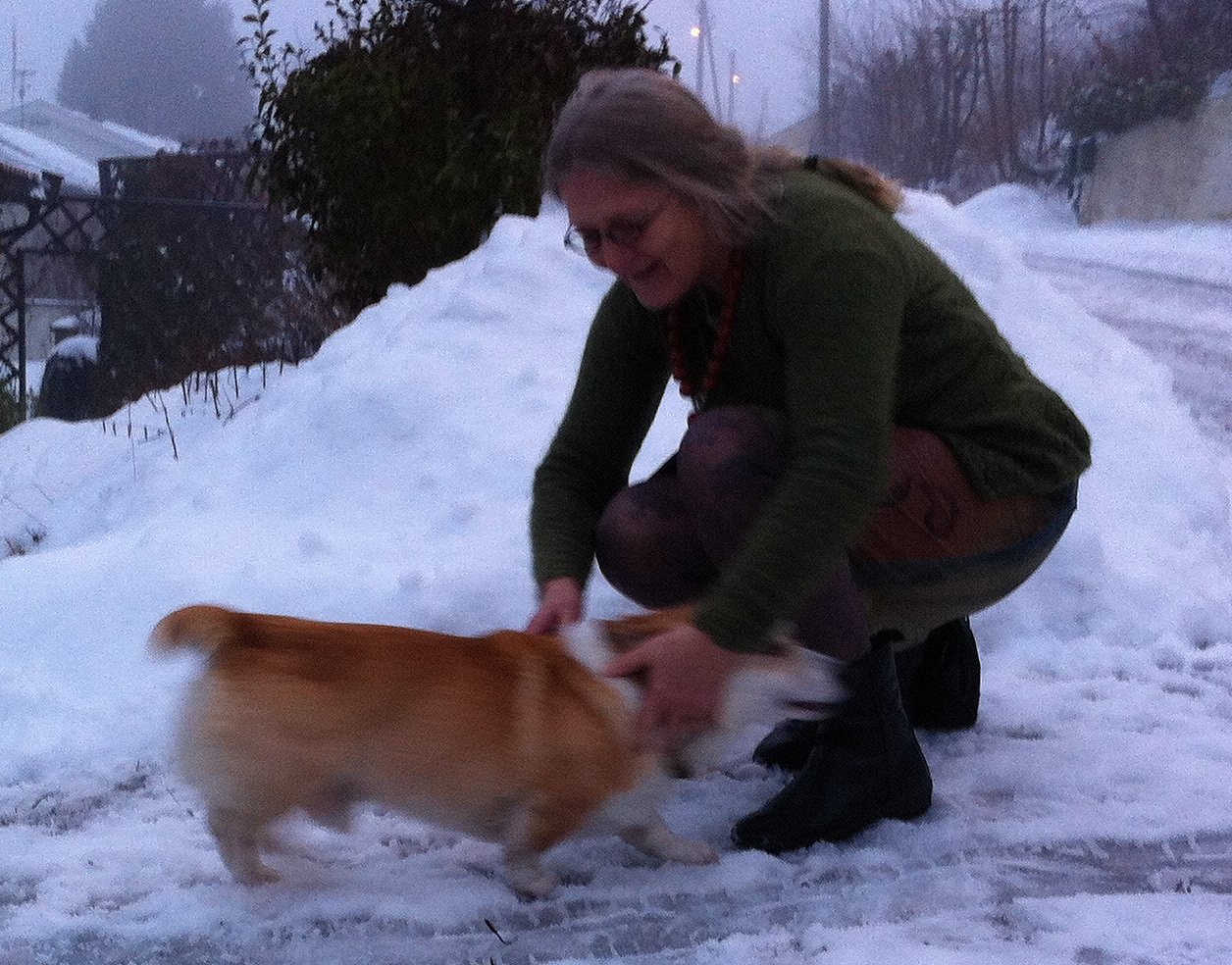 Vilt og vakkert: Tasha Tudor; Pet a corgi!