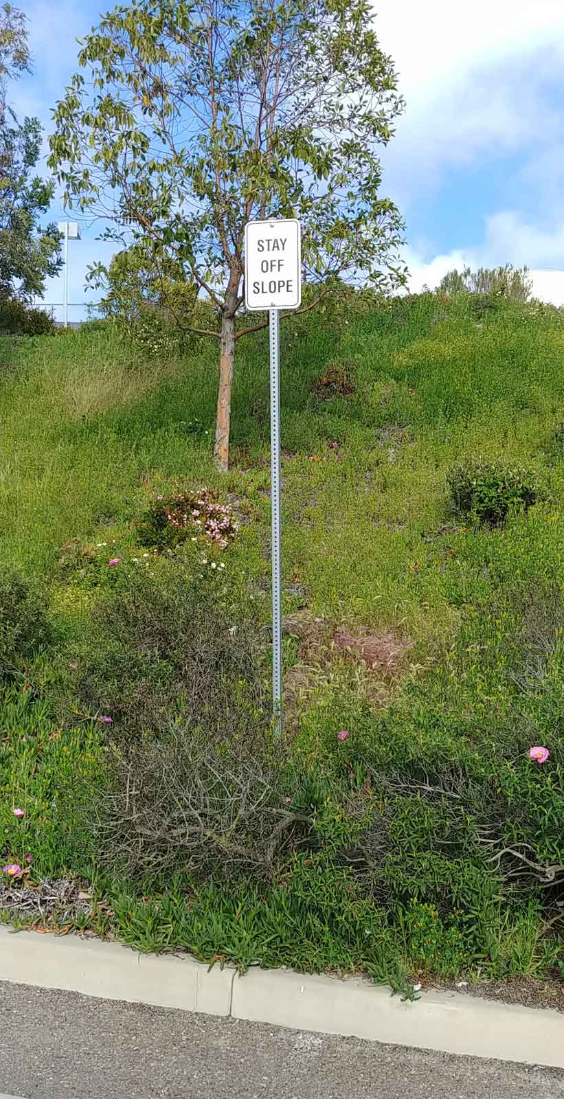 STAY OFF SLOPE - 비탈에서 떨어져 있으세요